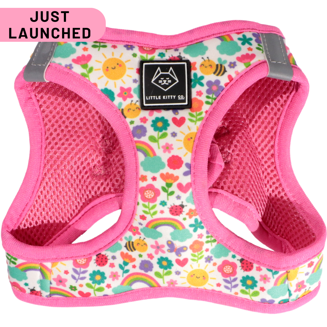 LITTLE KITTY CO | Cat Harness, Collars & Leashes for Cats & Kittens ...