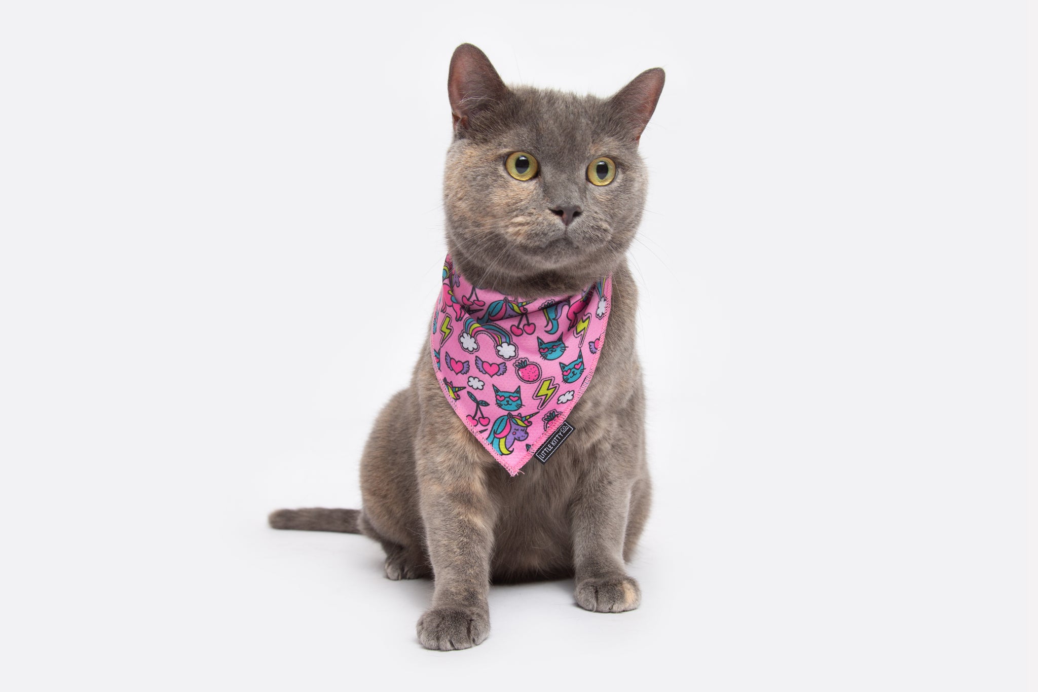 COOLING CAT BANDANA For Cats & Kittens | LITTLE KITTY CO – Little Kitty Co.