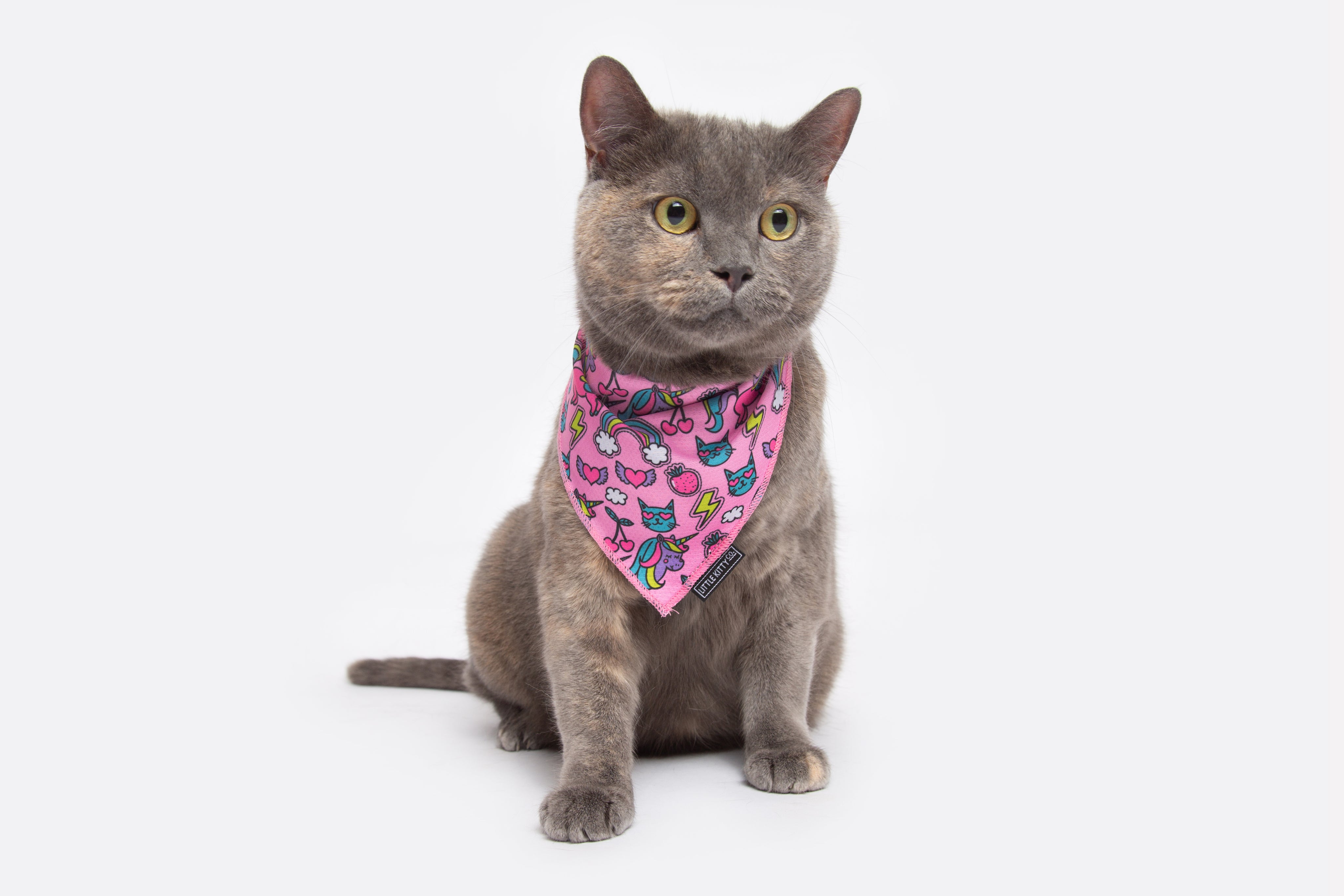 COOLING CAT BANDANA For Cats & Kittens | LITTLE KITTY CO – Little Kitty Co.