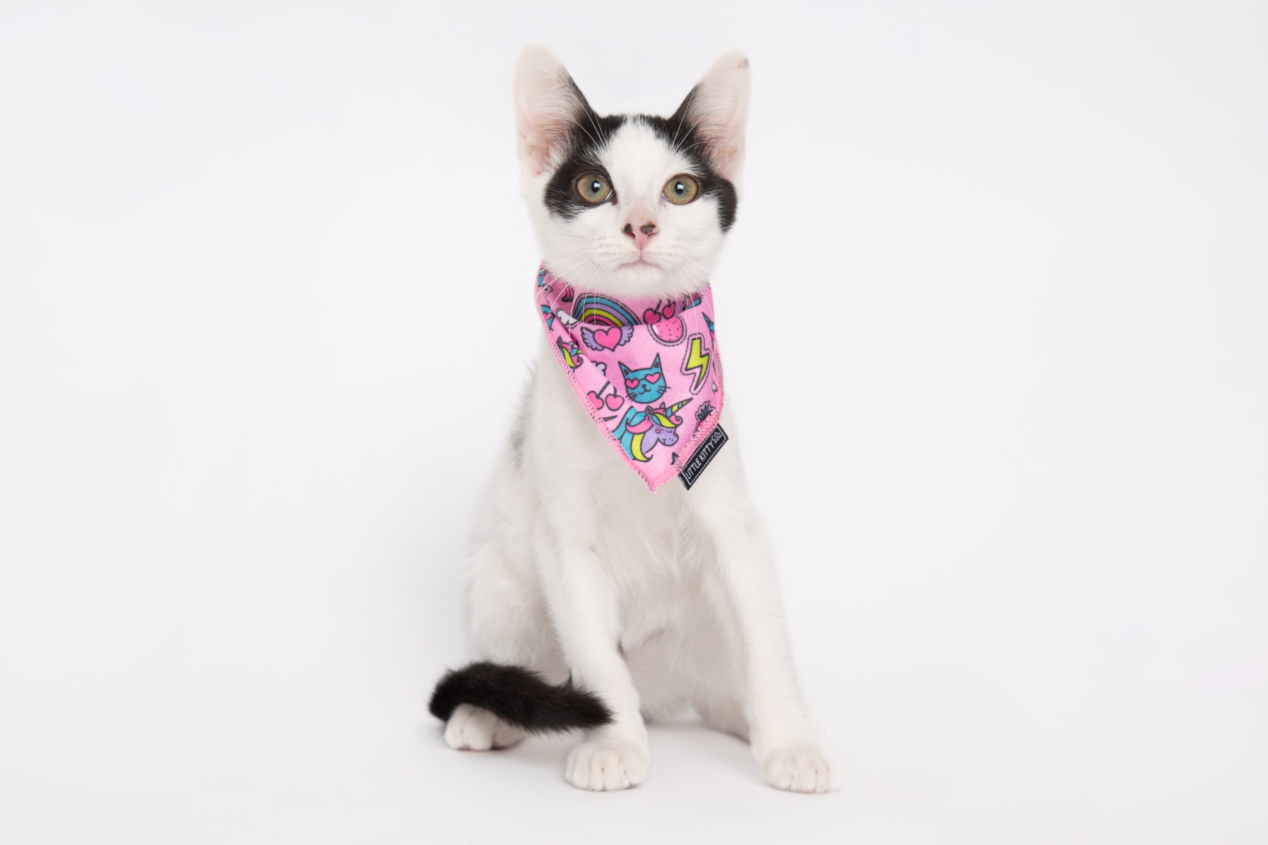 COOLING CAT BANDANA For Cats & Kittens | LITTLE KITTY CO – Little Kitty Co.