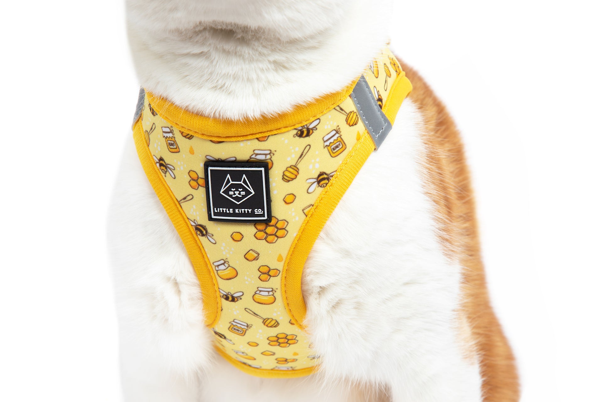 STEP IN CAT HARNESS For Cats & Kittens | LITTLE KITTY CO – Little Kitty Co.