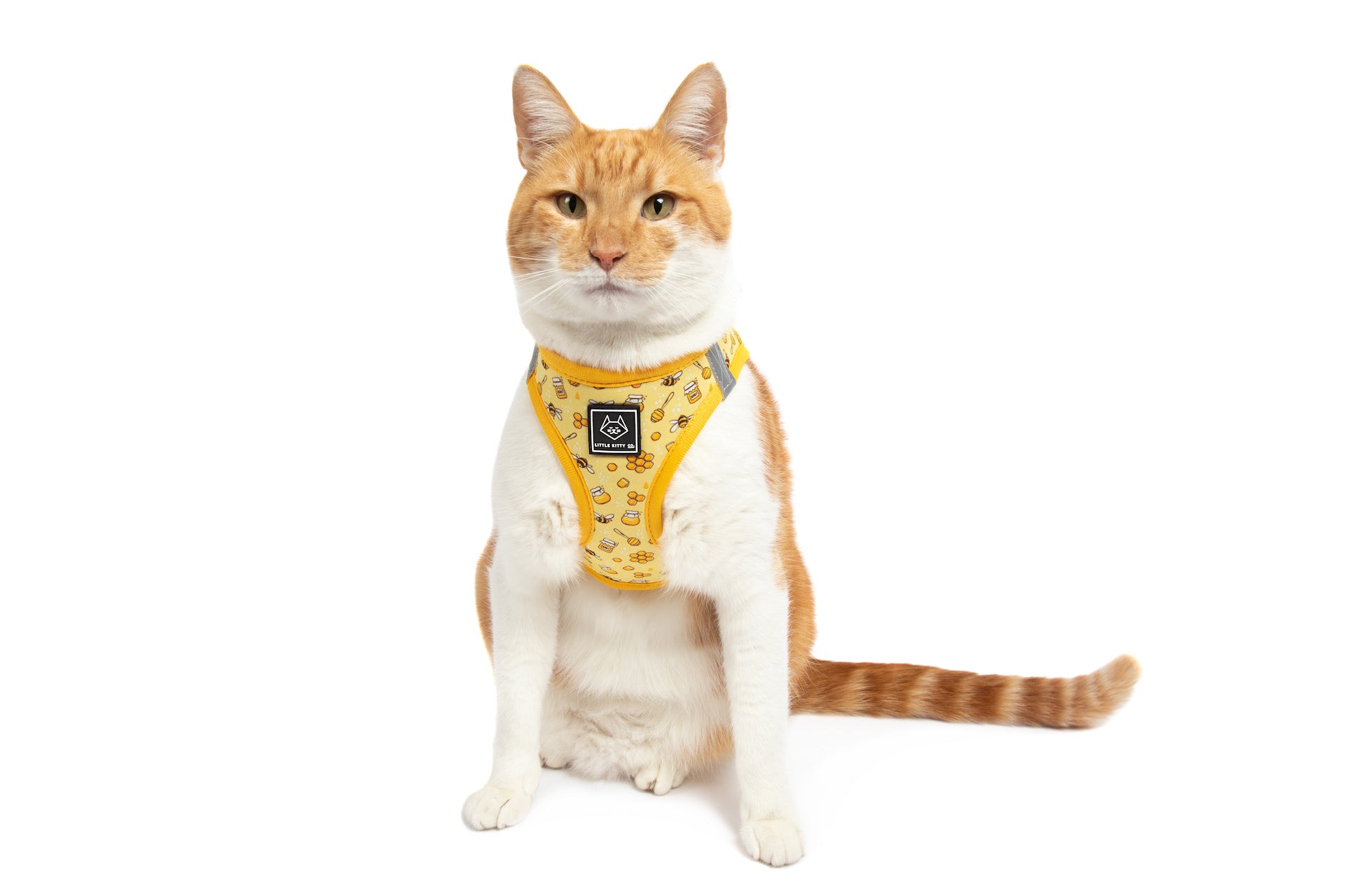 STEP IN CAT HARNESS For Cats & Kittens | LITTLE KITTY CO – Little Kitty Co.